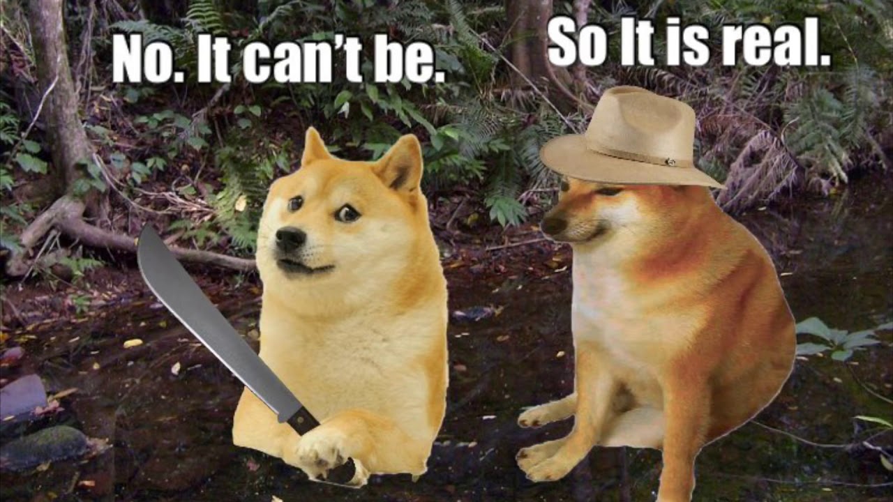 Doge and Cheems find the Cursed Temple of Death - YouTube