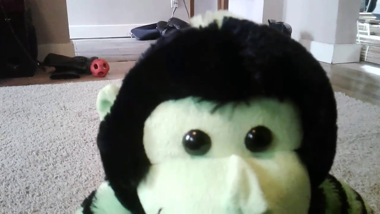 Monkey/my first video - YouTube