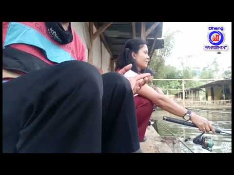 CEWEK JAGO MANCING, GANTIIN OHANG MANCING.