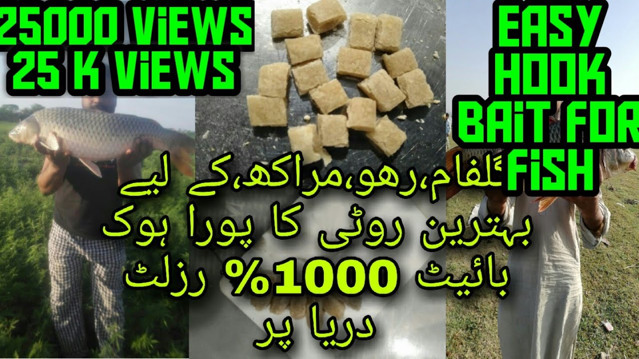 Easy fish hook bait.روٹی کا پورا fishing champion shani.Best ground ...