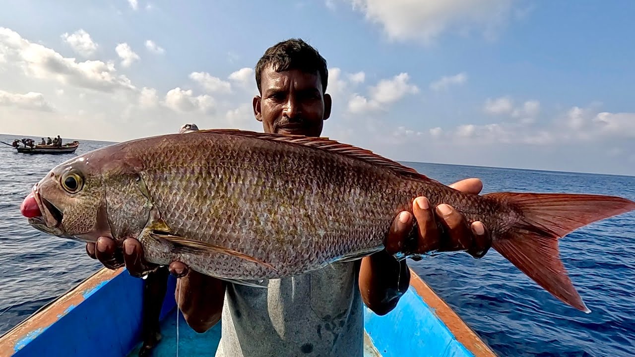 Hand Line Fishing in the Deep Sea for Rosy Snapper - YouTube