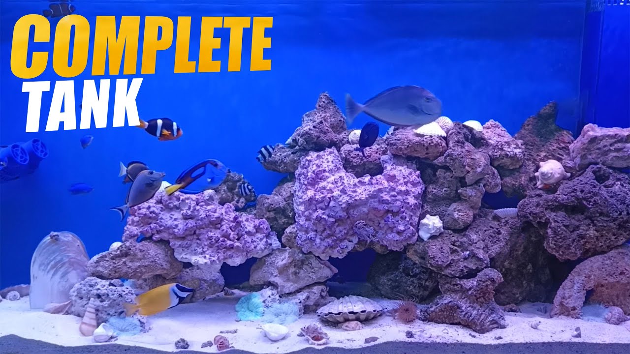 ANOTHER COMPLETE MARINE TANK BY SEASCAPES - YouTube