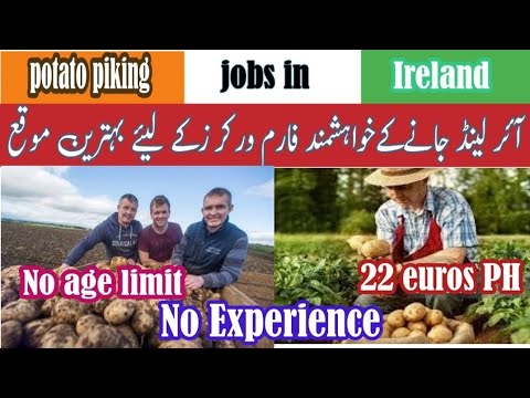 Jobs in Ireland // farm worker Needed // Potato picking and grading job ...