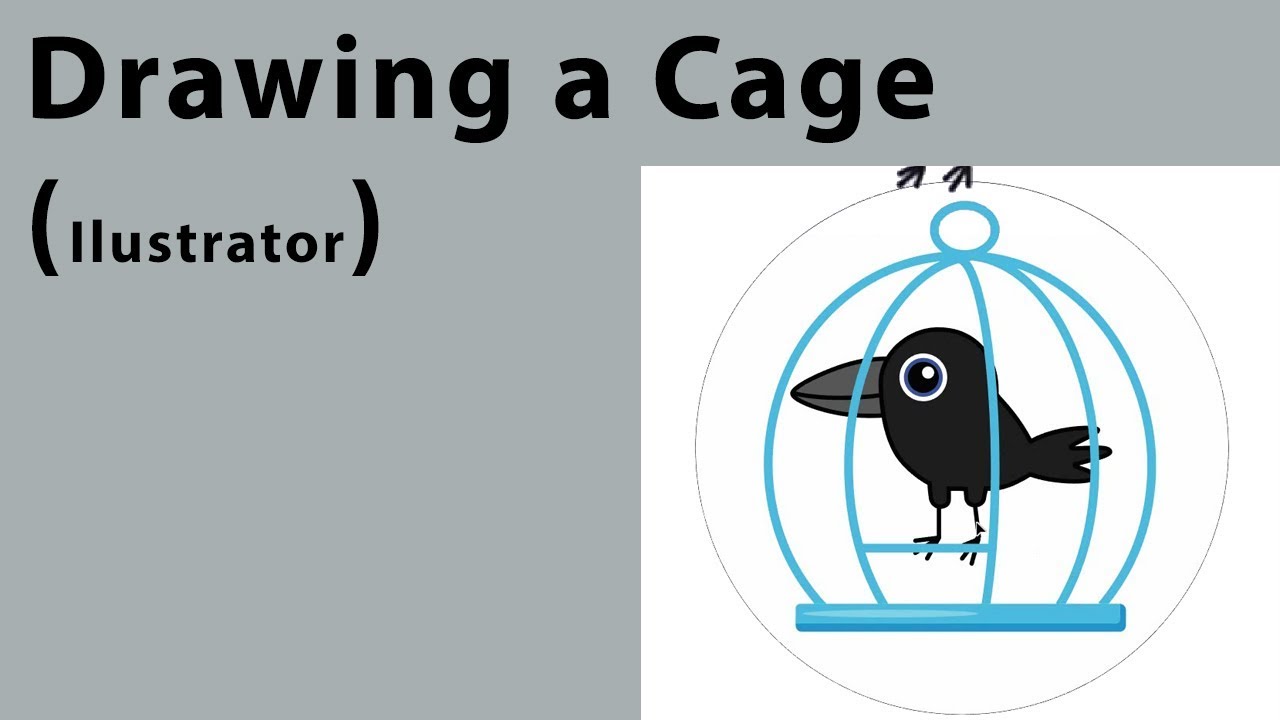 Illustrator cc, Drawing a cage for the bird - YouTube
