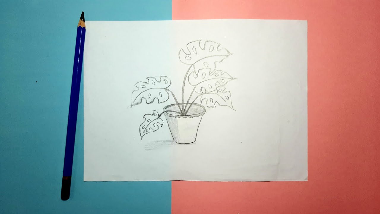 How to Draw a Monstera Plant with Pencil | Easy Step-by-Step Tutorial ...
