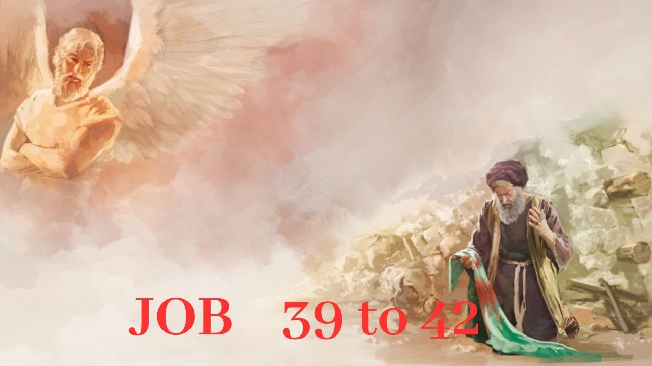 ONLINE BIBLE - JOB 39 to 42 - YouTube