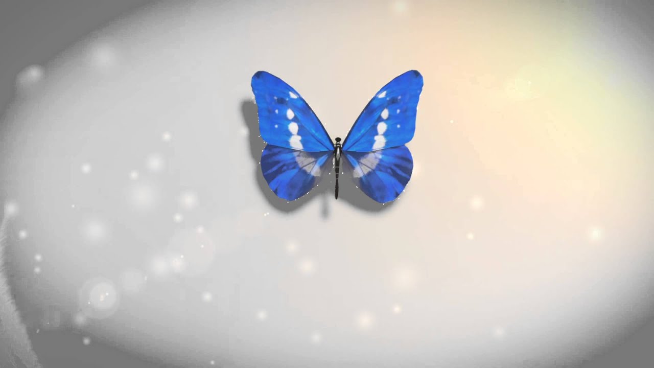 #18. Butterfly Intro logo - YouTube