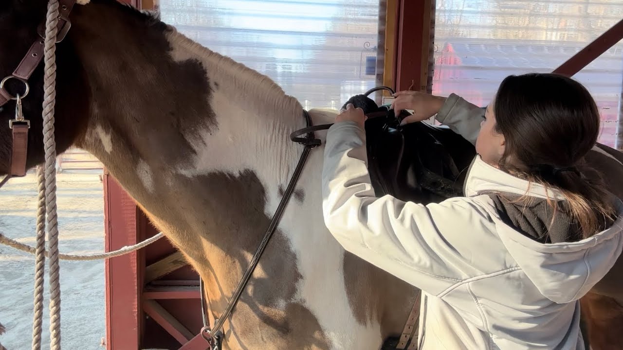 Virtual Horsemanship Lesson- TACKING UP HORSE: English Tack - YouTube