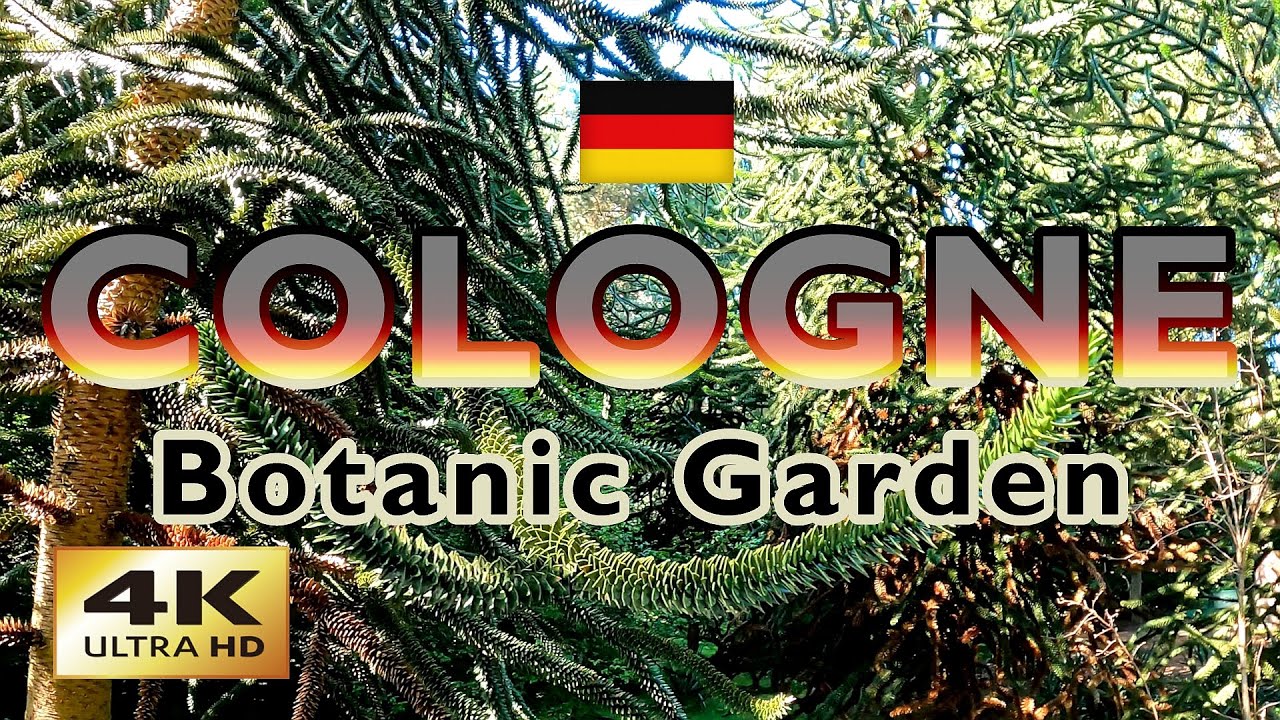 【4K】 Köln / Cologne 🇩🇪 Germany - Botanic Garden - YouTube