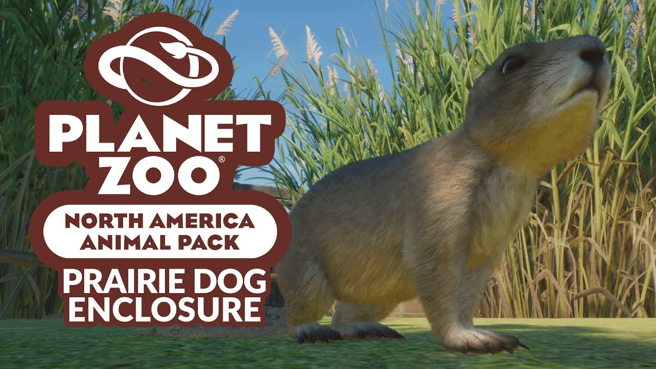 PLANET ZOO NORTH AMERICA PACK DLC | Prairie Dog Enclosure & Animal ...