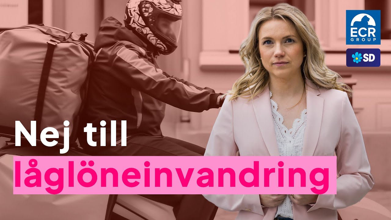 Nej till låglöneinvandring | Beatrice Timgren (SD) - YouTube