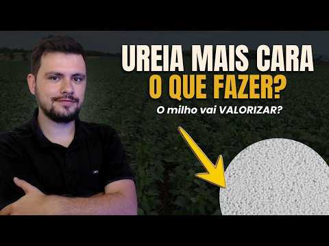 o que fazer preço da ureia vai subir