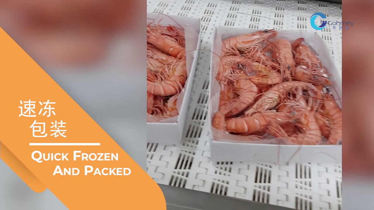 Gohmey Prawn Processing Video - YouTube