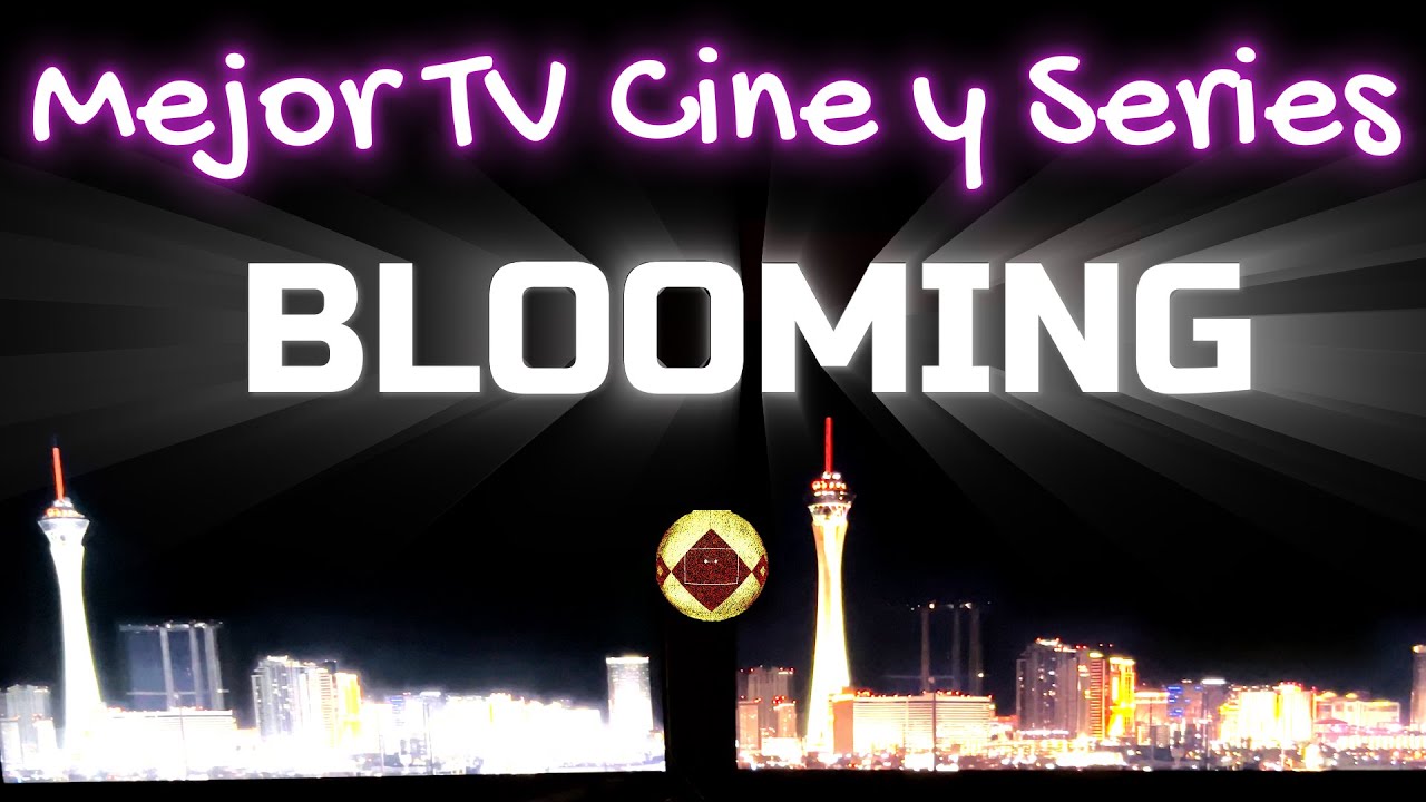 Cuál es la Mejor TV para Cine y series Comparativa Blooming Mini LED ...