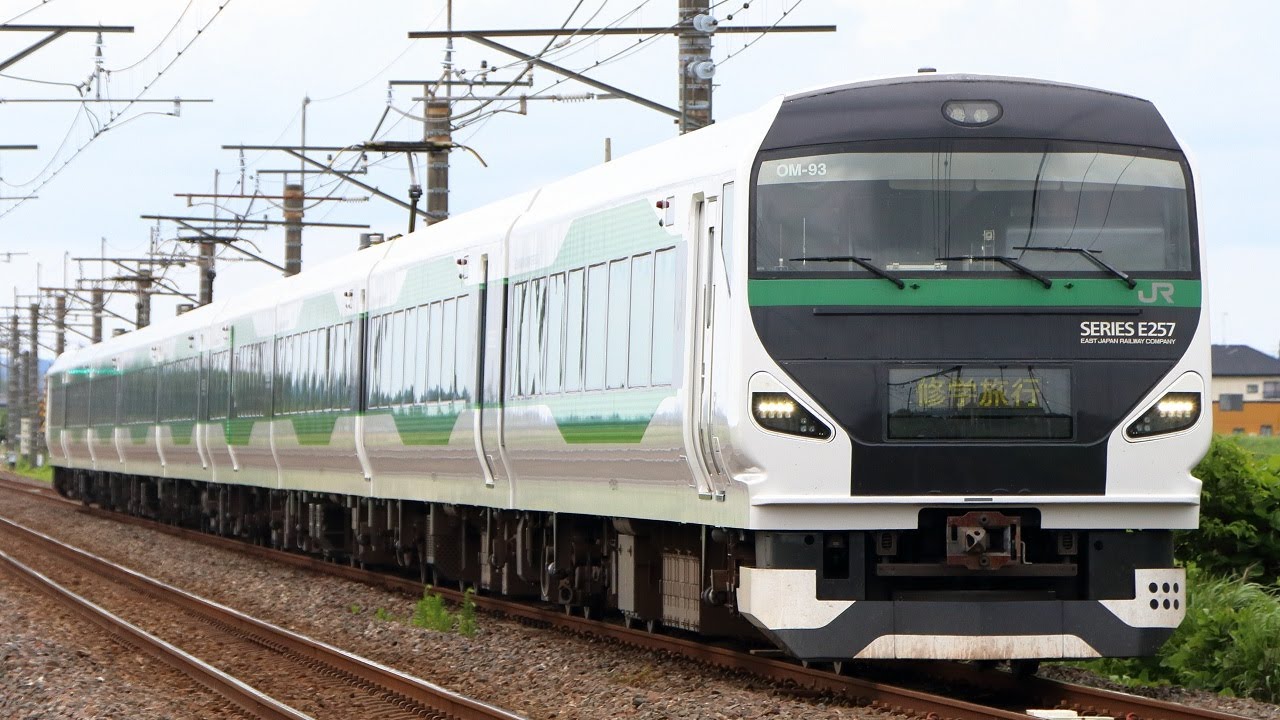 【4K】E257系5000番台OM-93編成 修学旅行臨時（集約臨時列車） 外房線新茂原～本納 2024/6/9 - YouTube