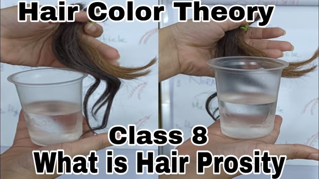 Hair color Theory Class 8||What is Hair Prosity? Decent Beauty Salon By ...