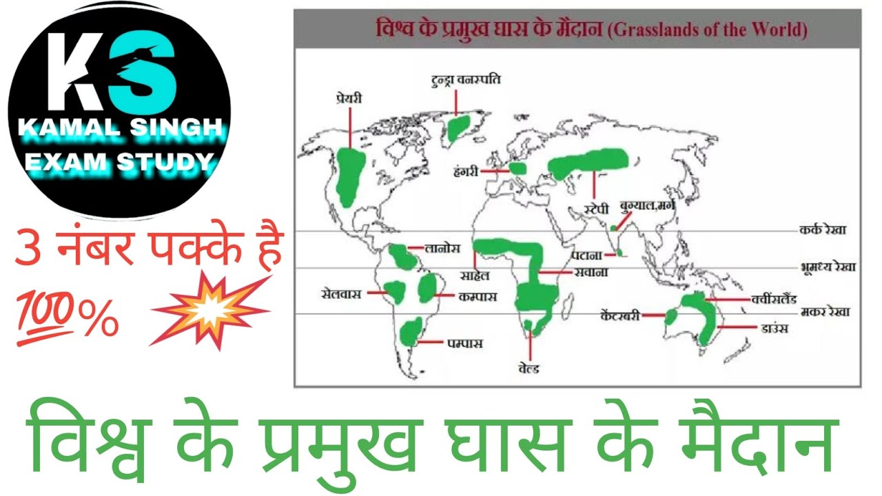 विश्व के प्रमुख घास के मैदान | Vishva ke Pramukh ghas ke maidan #ghass ...