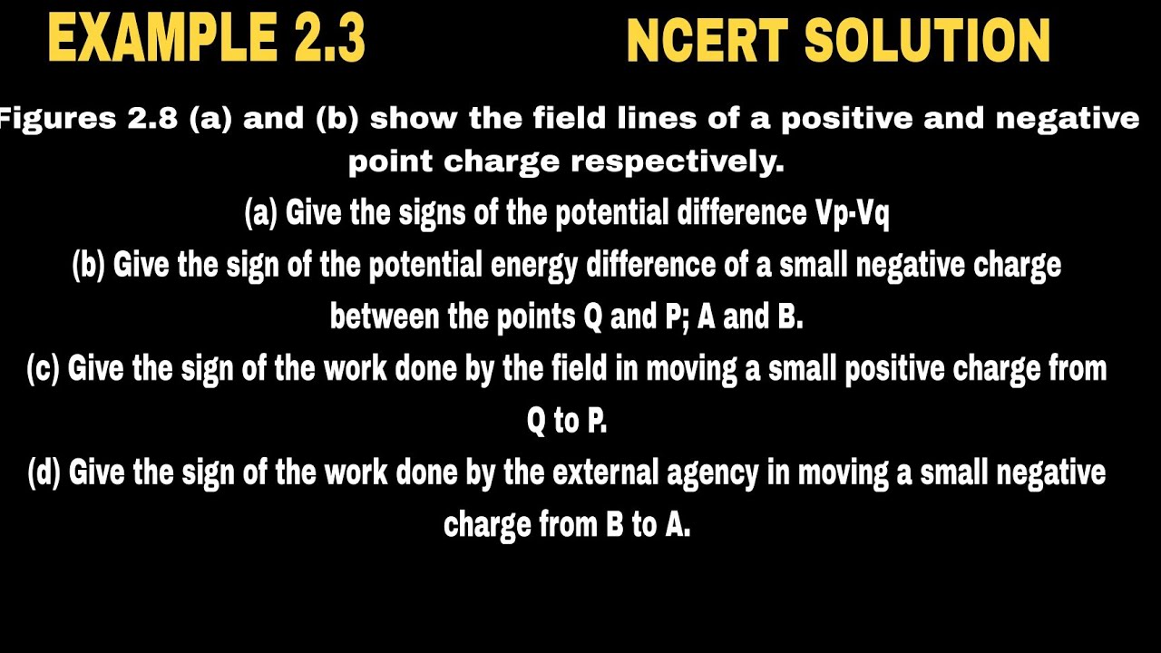 Figures 2.8 (a) and (b) show the field lines of a positive and negative ...
