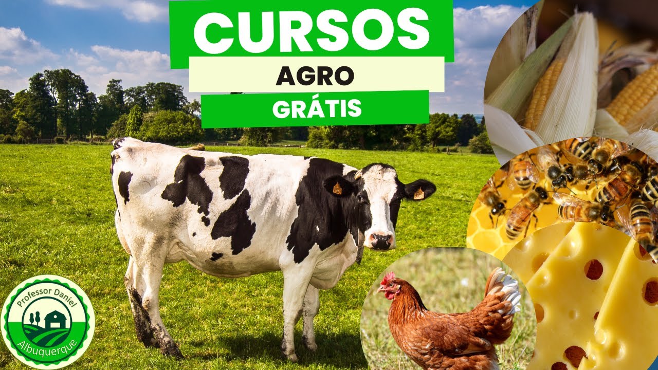 Cursos Agro grátis - YouTube