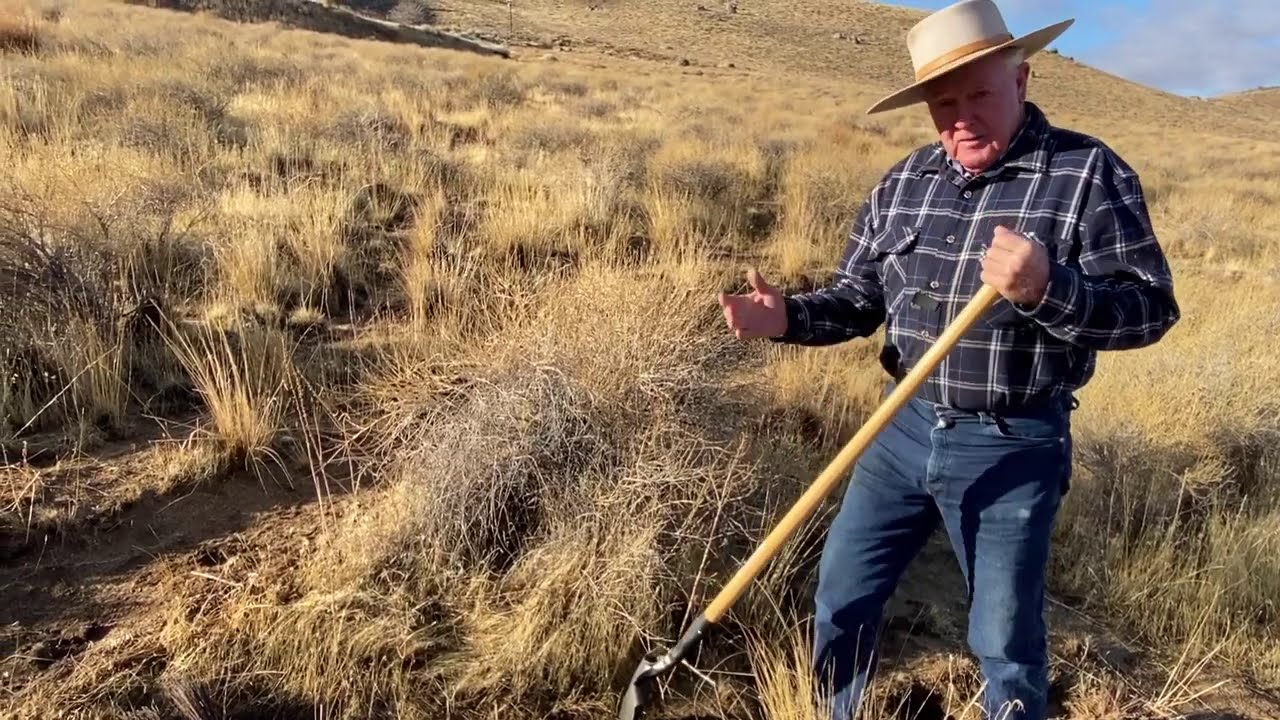 Managing the Land Through Grazing - YouTube