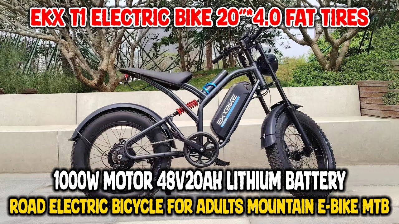 T1 Electric Bike 20‘’*4.0 Fat Tires 1000W Motor 48V 20AH Lithium ...