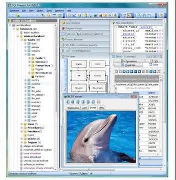 SQL Maestro for MySQL - YouTube