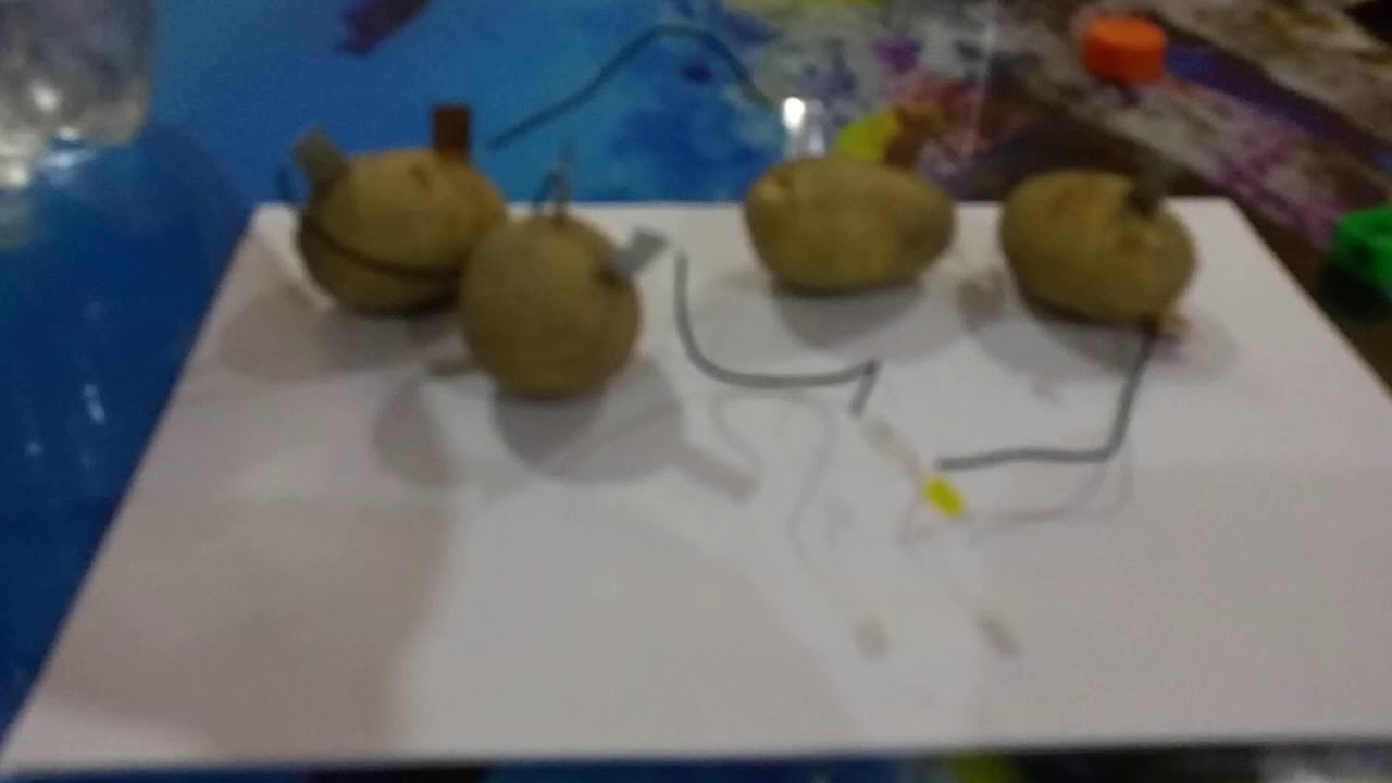 Potato Battery Model | DIY | Kids Project | Science Project | Kids ...