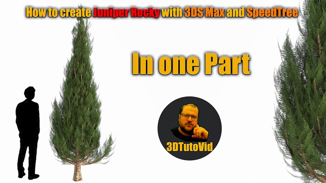 How to create Juniper Rocky Tree with 3DS Max and corona and SpeedTree ...