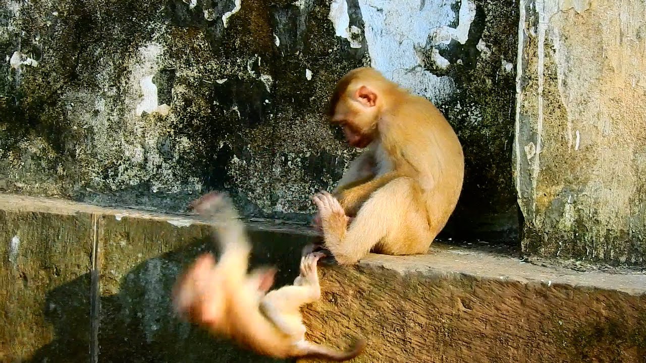 Help me...Please h hug my hand - YouTube