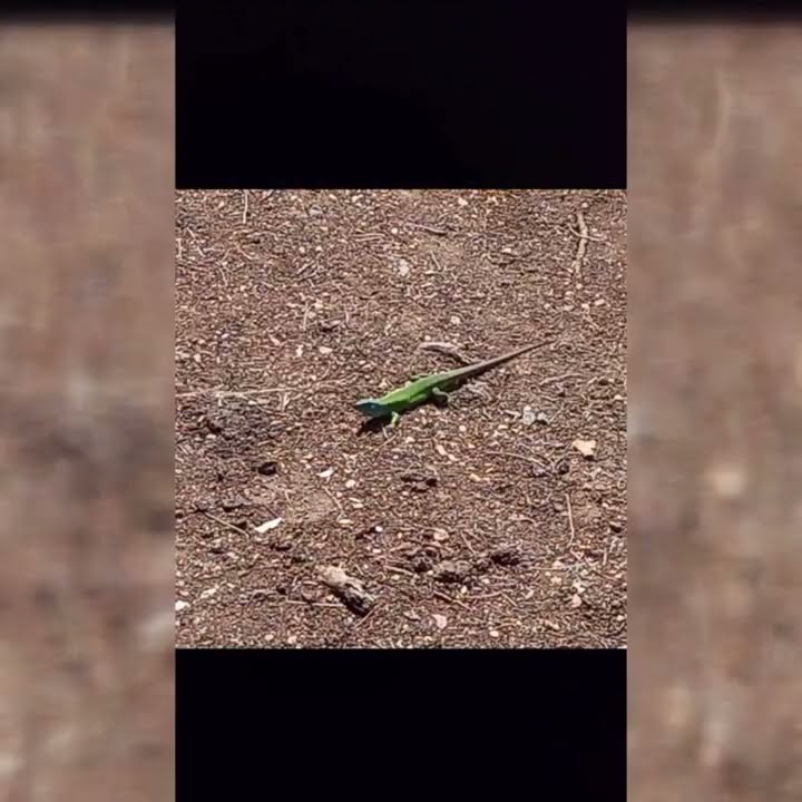 📍Pishat, Sllatina, Kosovo Favourite place on earth - YouTube