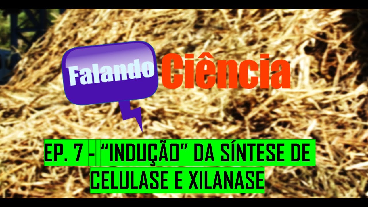 Produção de celulase e xilanase | EP 08 | Paulo Miranda - YouTube