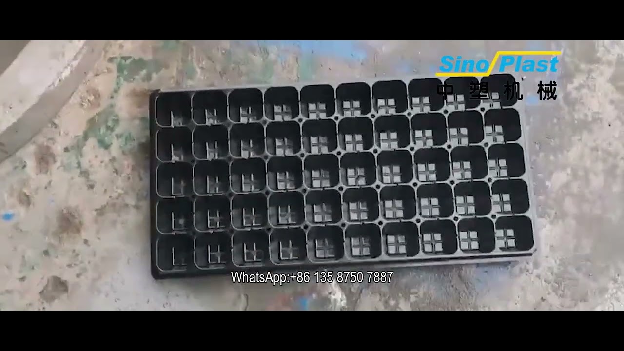 Seedling Tray Making Machine, Seedling Tray Thermoforming Machine - YouTube