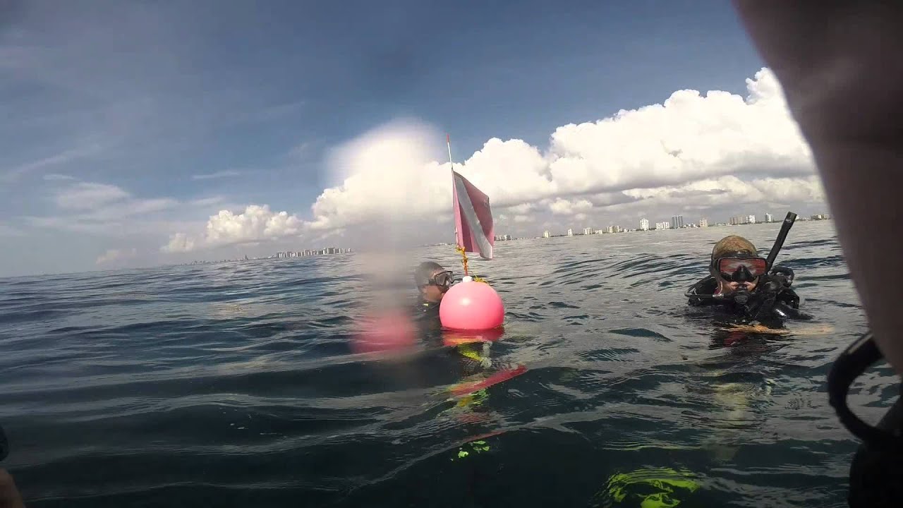 Divers Cove Descending on Dive 4 - YouTube