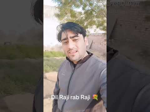 Dil Raji Rab Raji 💐 - YouTube