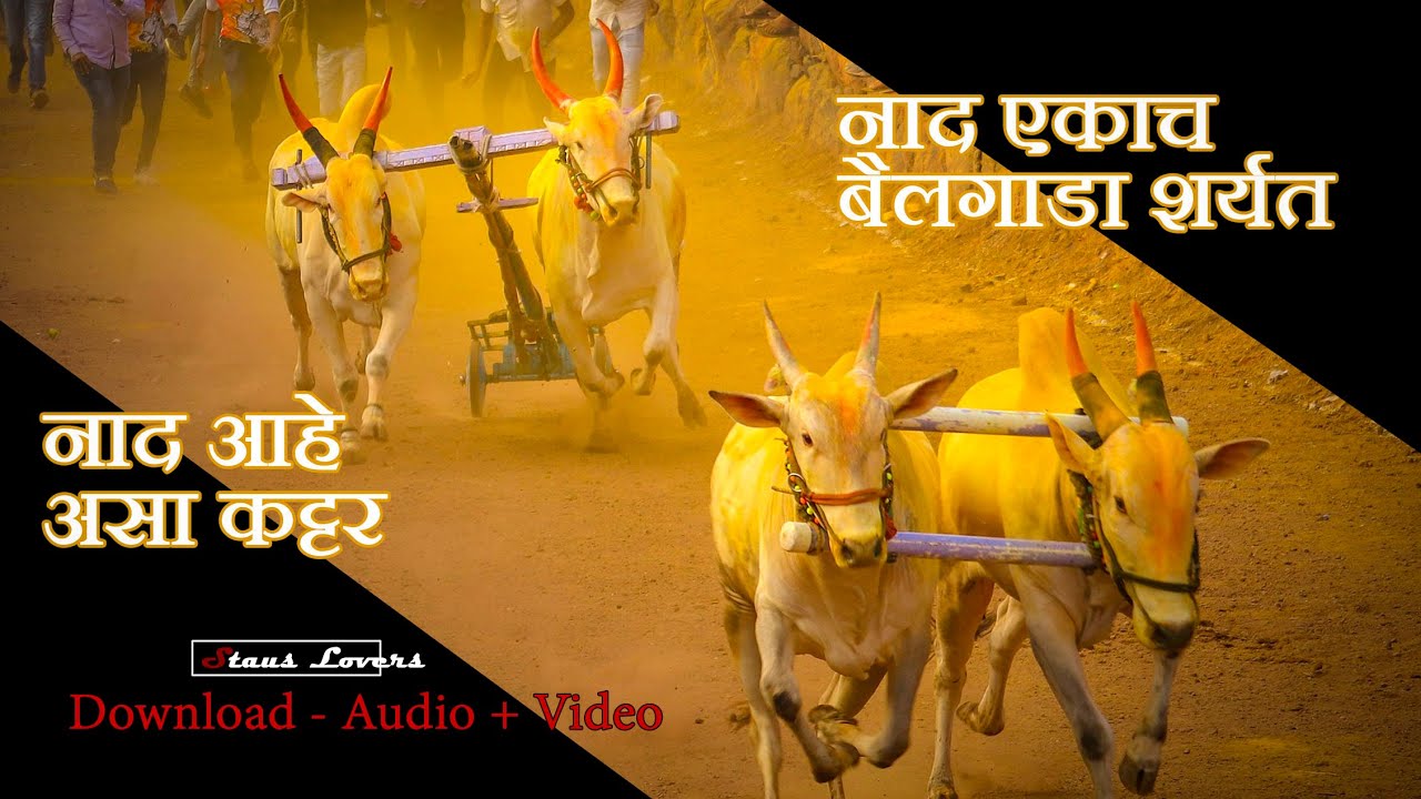 Nad Ekach Bailgada Sharyat Remix Status | Bailgada sharyat song ...