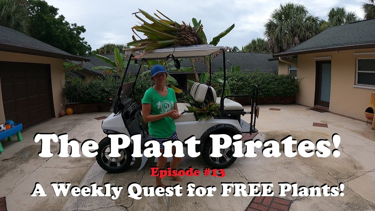 The Plant Pirates Episode #13 | A Weekly Quest for FREE Plants! - YouTube