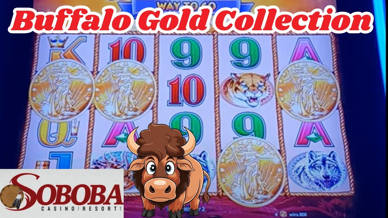 Buffalo Gold Collection Slot Machine - YouTube