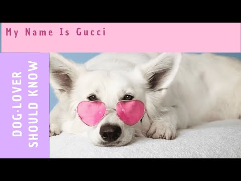 Hi My Name Is Gucci Bagong Ligo - YouTube