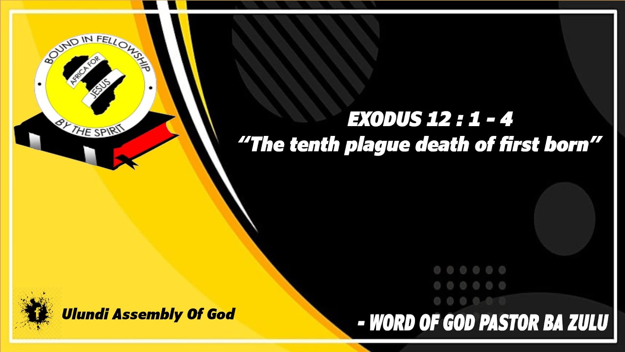 “The tenth plague death of first born” - YouTube