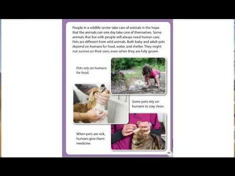 Plant and Animal Survival Ch.9 - YouTube