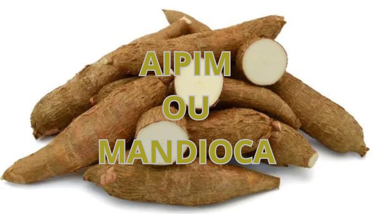 Aipim ou Mandioca - YouTube