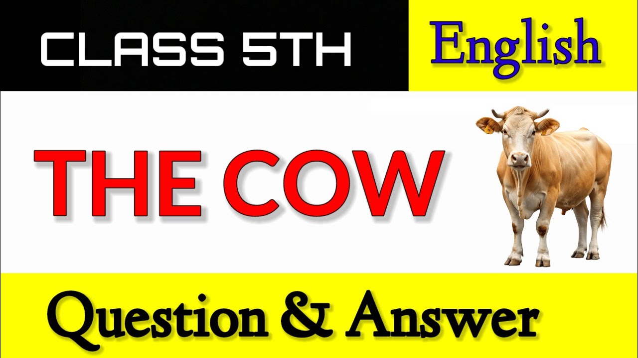 The Cow Question and Answer 5TH Standard l Poem - 5 l English Notes 1st ...