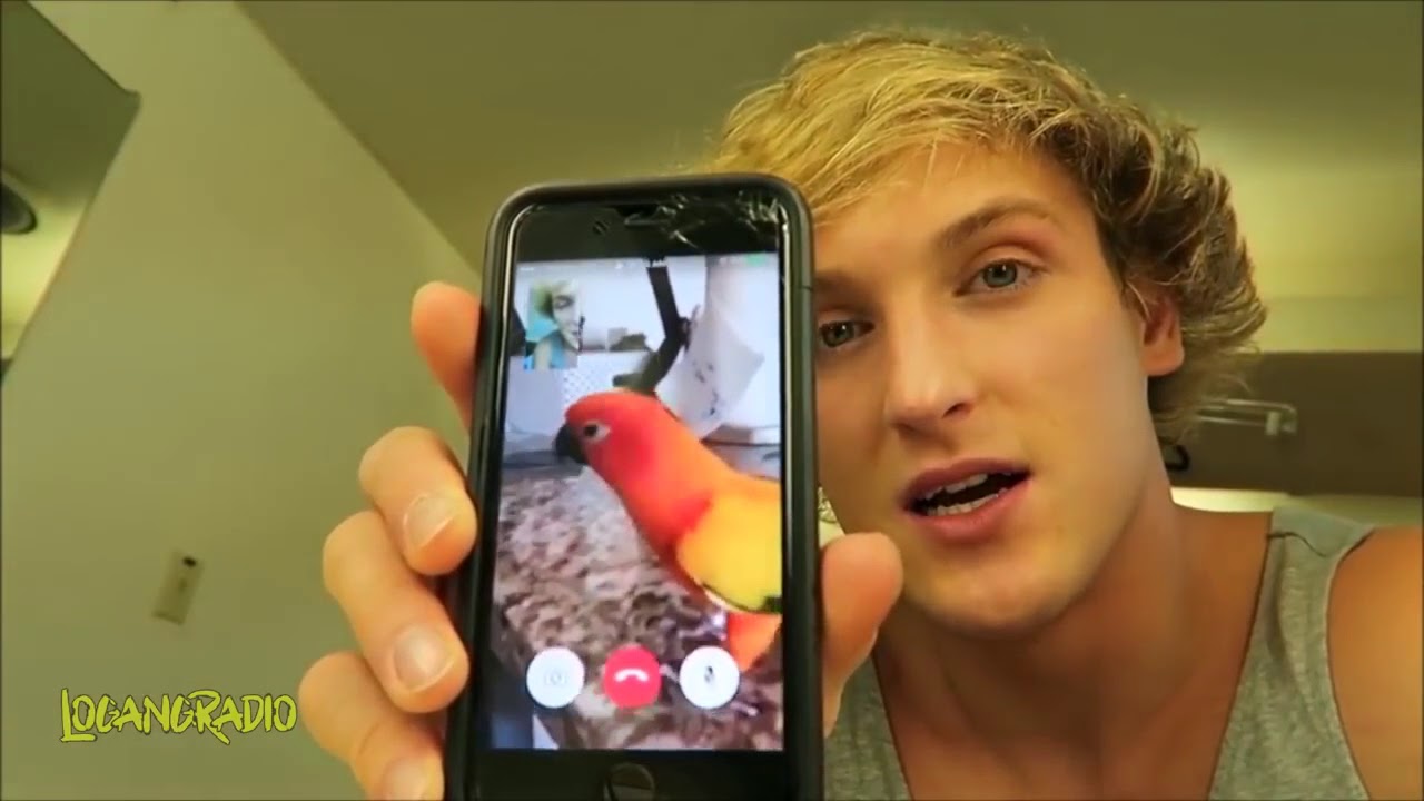 Maverick Roasting Logan paul compilation Funny Moments😂 - YouTube