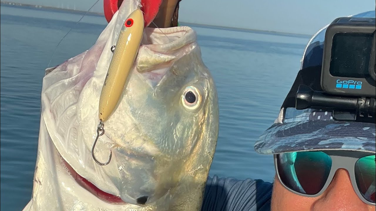 How to fillet a Jack Crevalle - YouTube