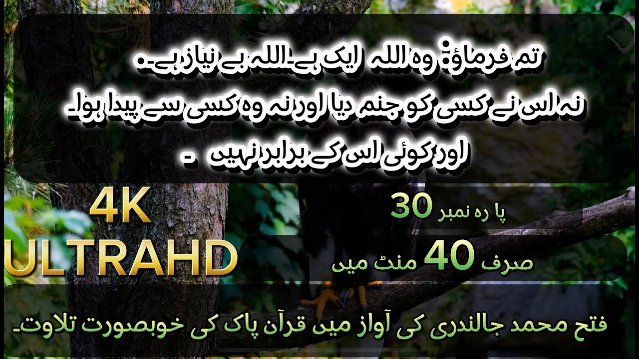 Beautiful Quran Chapter 30 Complete 4K Urdu Translation | Fateh ...
