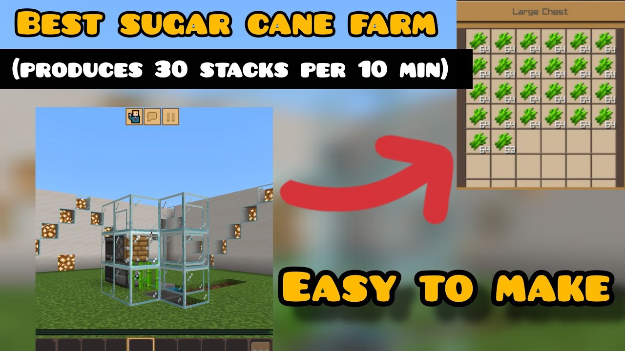 Best sugar cane farm that produces 30 stacks sugar cane per 10 min ...