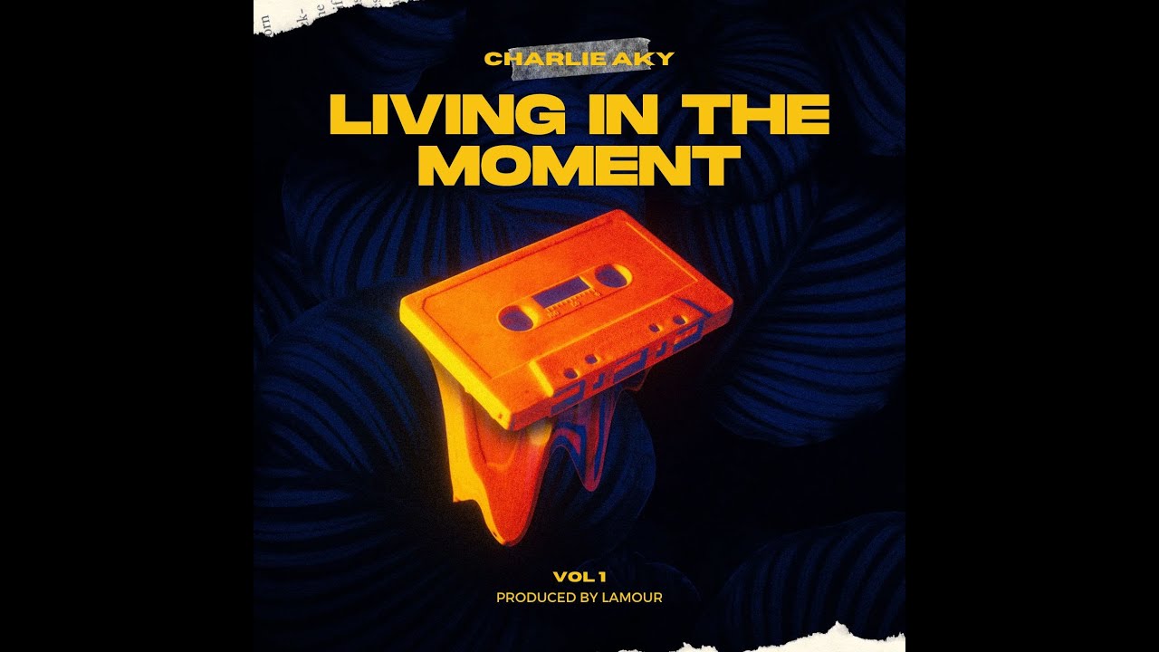 Living in the Moment - Charlie Aky (Official Audio) (DNB) - YouTube