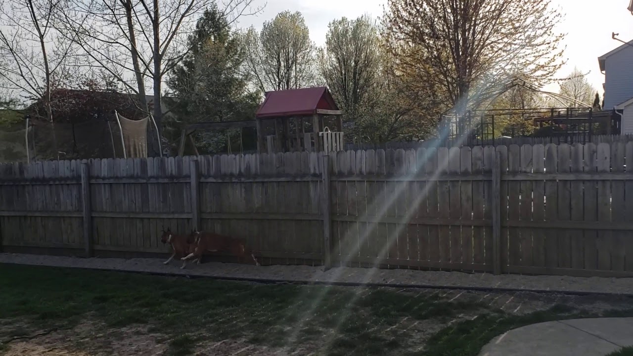 Girls on their new running strip. :-) - YouTube