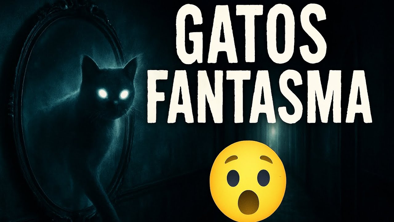 Gatos Fantasma: Las Sombras Que Regresan del Más Allá 🐈‍⬛👻 - YouTube