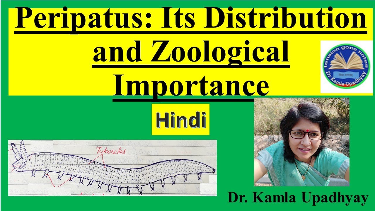#Peripatus: Its Distribution, Affinities and Zoological Importance # ...